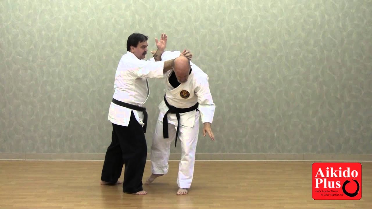 Aikido Plus Seminars - Kaitenage from grab and punch - YouTube