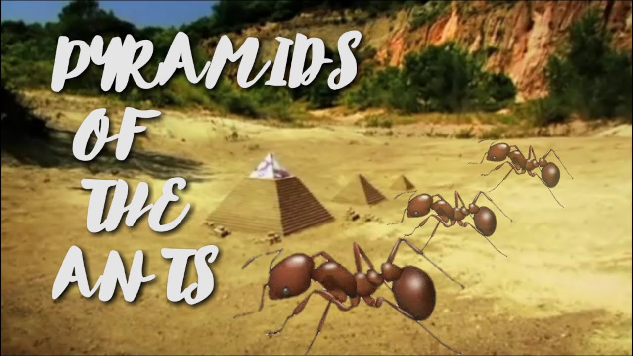 PYRAMIDS OF THE ANTS எறும்புகளின் பிரம்மிட் - YouTube