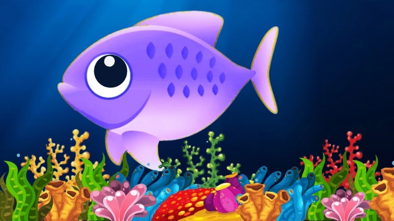 Fish Animation |Fishes| - YouTube