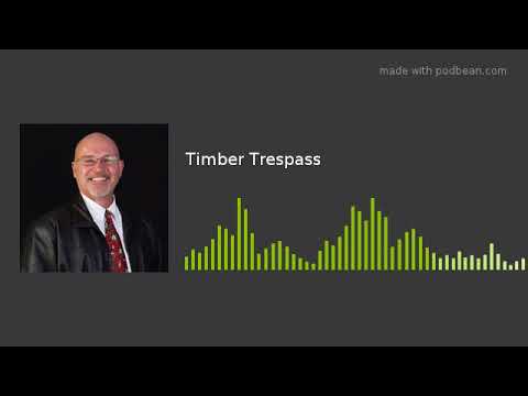 Timber Trespass - YouTube