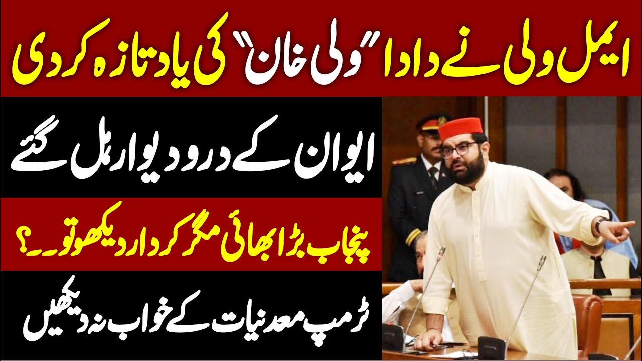 Aimal Wali Khan Fiery & Emotional Speech In Senate Of Pakistan || - YouTube