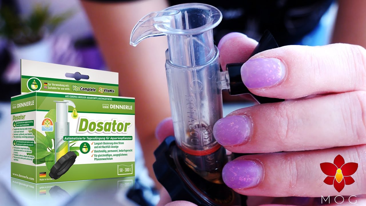 I tried Dennerle Dosator & oh no!! 😫 | Affordable Automatic fertilising ...