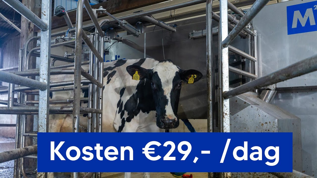 Kosten melkrobot 2de jaar in gebruik Merlin M2 Fullwood JOZ - YouTube
