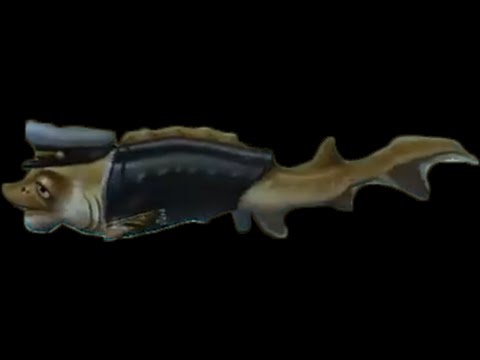 Magical Fishing: Sturgeon General - YouTube