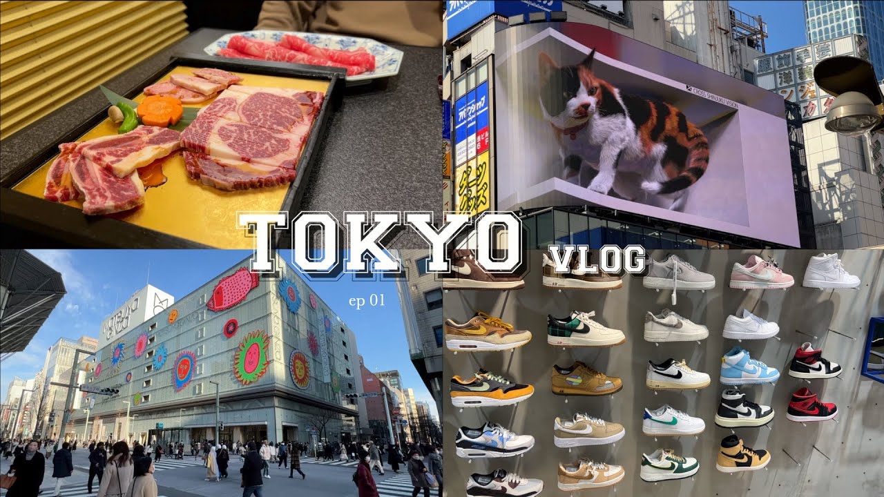 A Tokyo Vlog 🍜 | Ep 1: Lunar New Year in Japan, Yakiniku, Ginza and ...