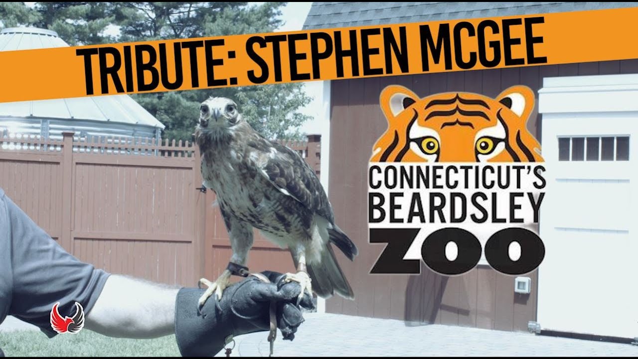 Hawk Studios -- Tribute Video & History of Hawk Studios.. - YouTube