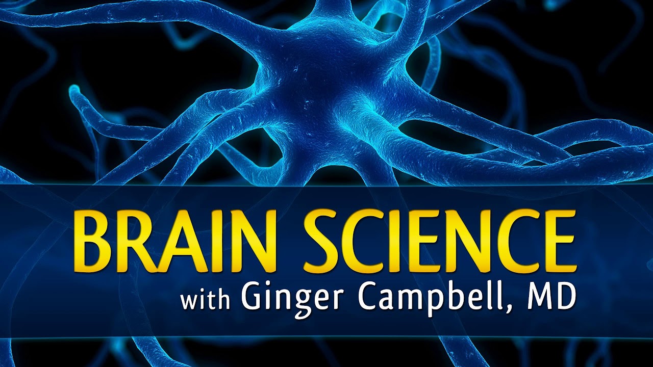 BS168 Cecilia Heyes author of "Cognitive Gadgets: The Cultural ...