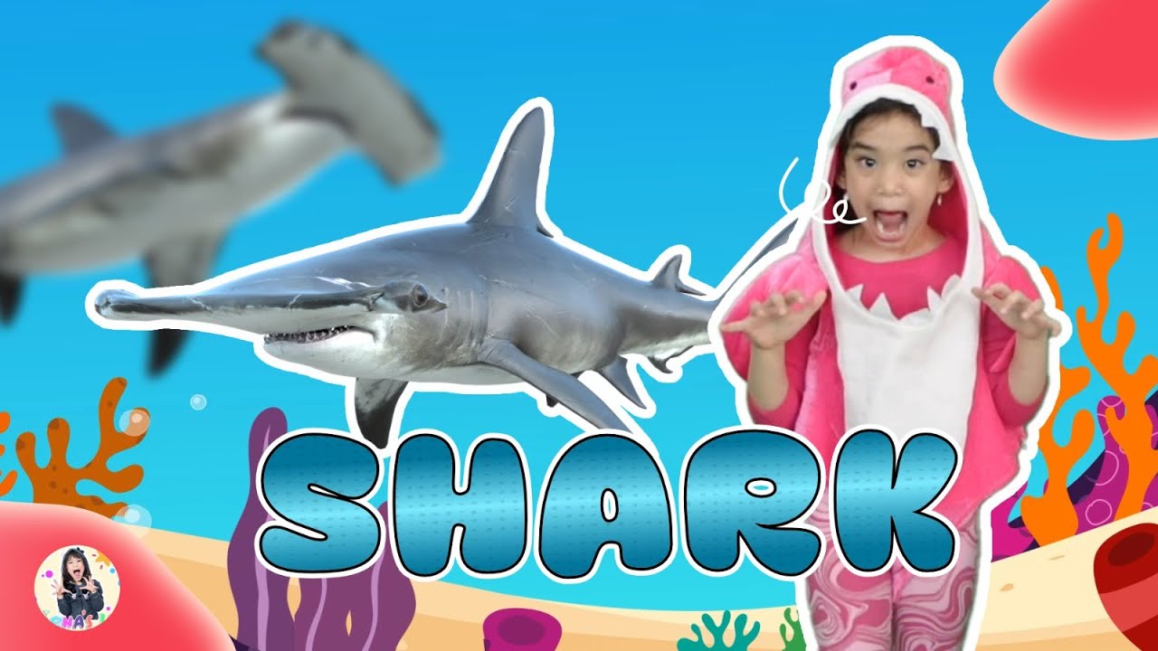 Sharks are amazing!! I turn into a shark | Fun kids learning about ...