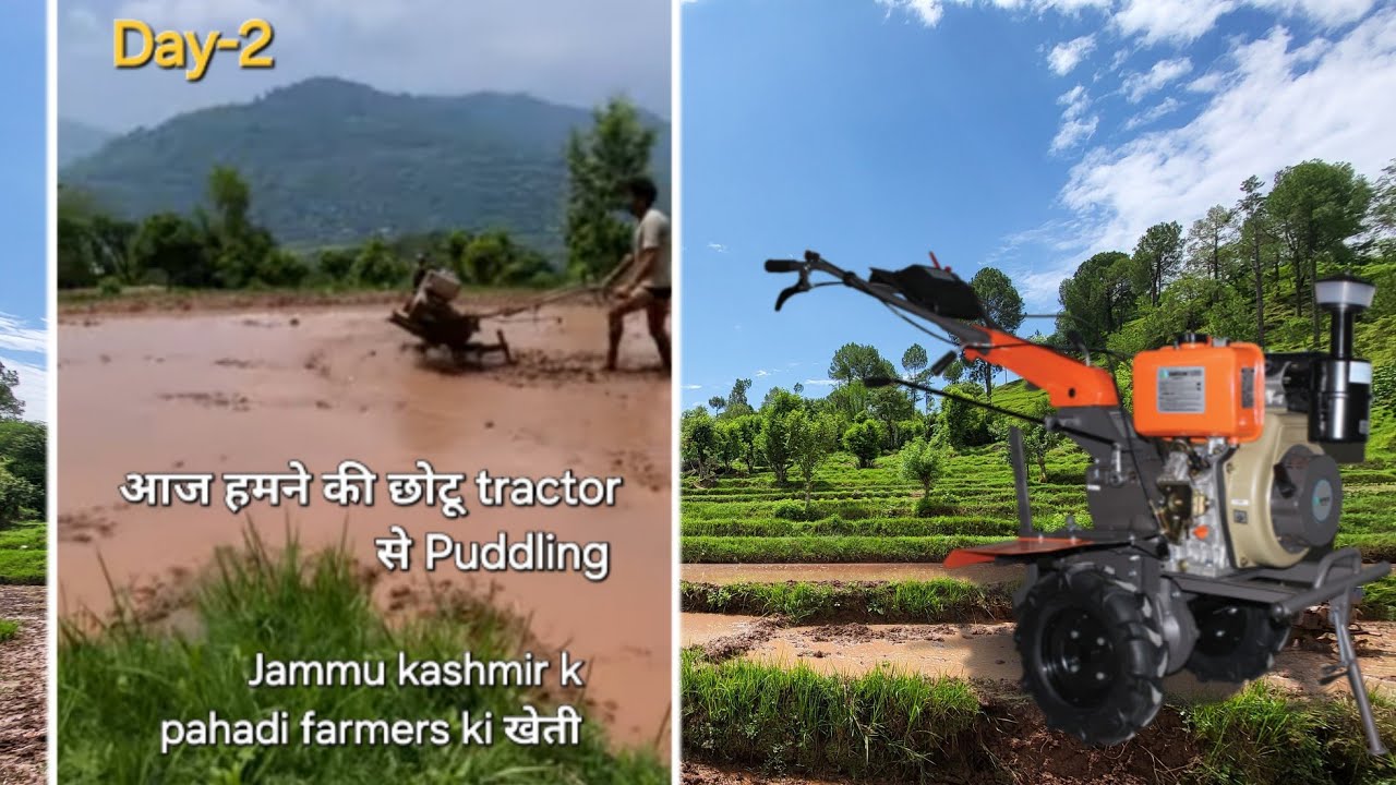 Organic Farmers-field 2feast is live| आज हमने कई छोटू tractor से जुताई ...