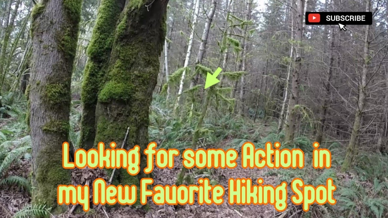 Looking for Activity in my new favorite spot that never fails in the ...