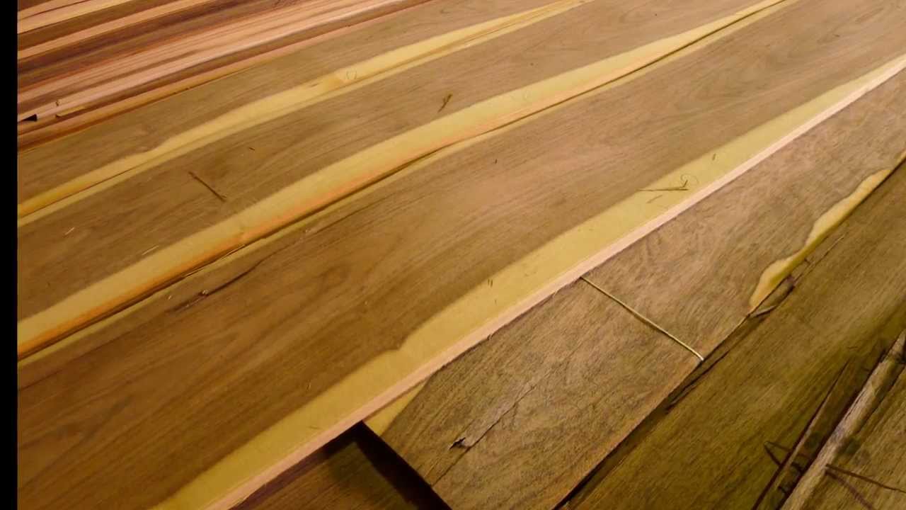 Louro Preto Veneers - YouTube