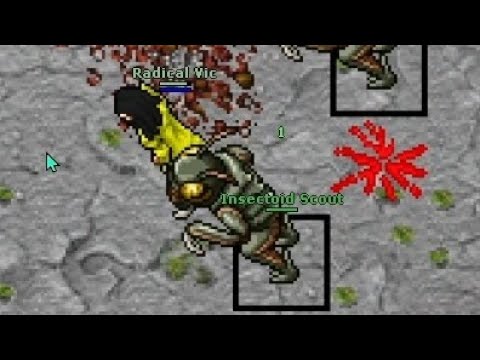 Tibia - Free Account (Sorcerer 67) Insectoid Scout Hunt - YouTube