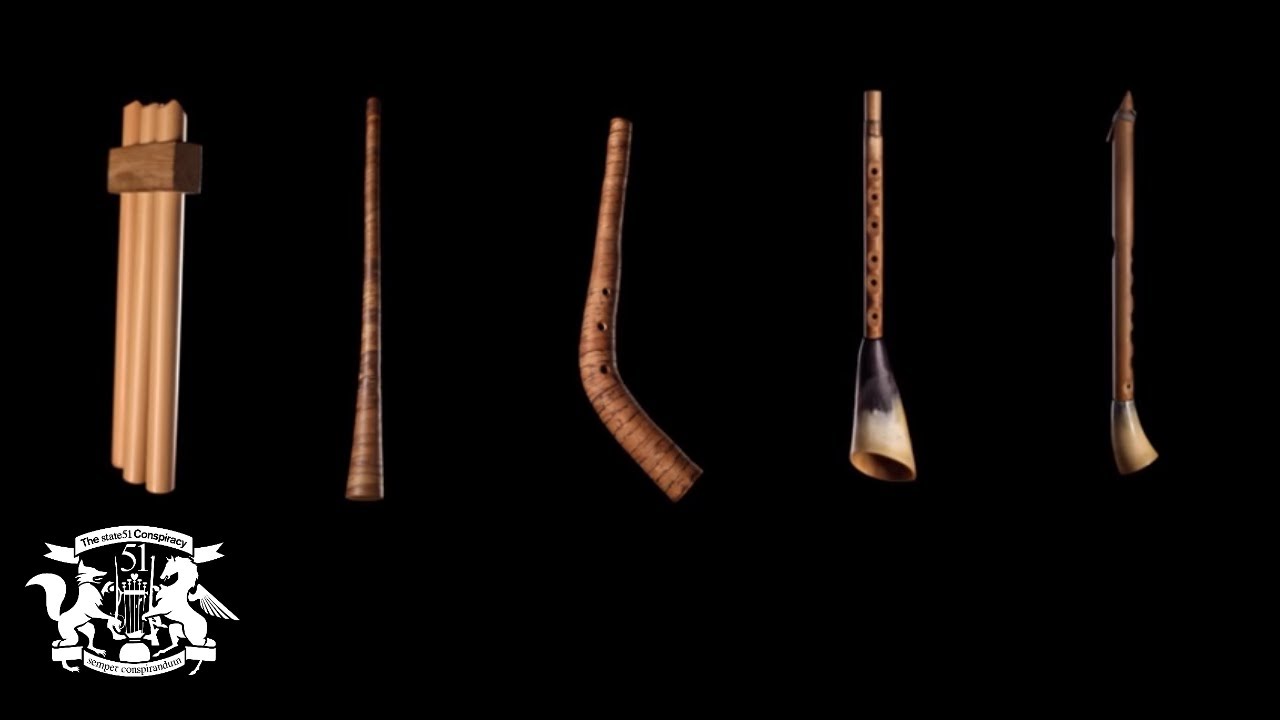 Lithuanian Folk Instruments - Lietava - Saulius Petreikis/Domas ...