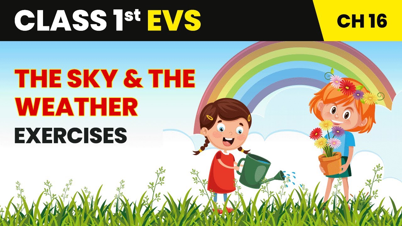 The Sky and the Weather - Exercises | Class 1 Environmental Studies ...