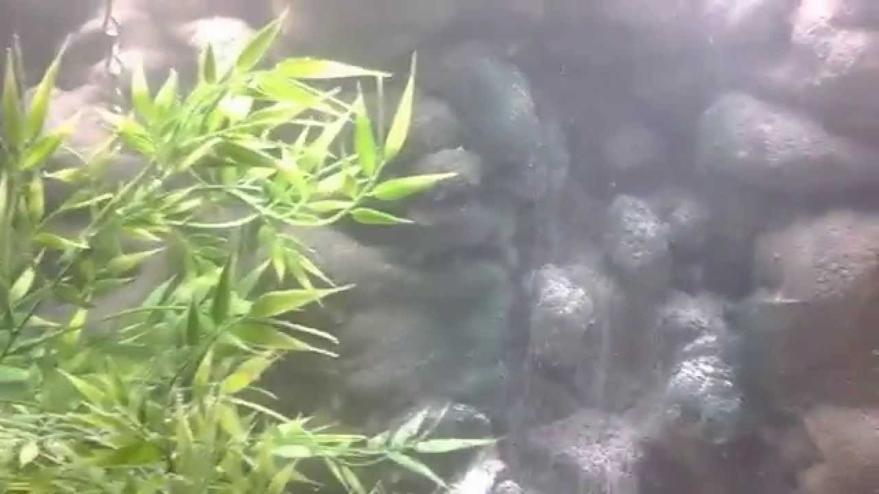 3d aquarium background with waterfall and caves . - YouTube