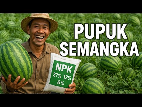 ‼️ILMU Budidaya Semangka Dari A Sampai Z‼️Bonus Racikan Pupuk Untuk Semangka Vegetatif + Generatif‼️