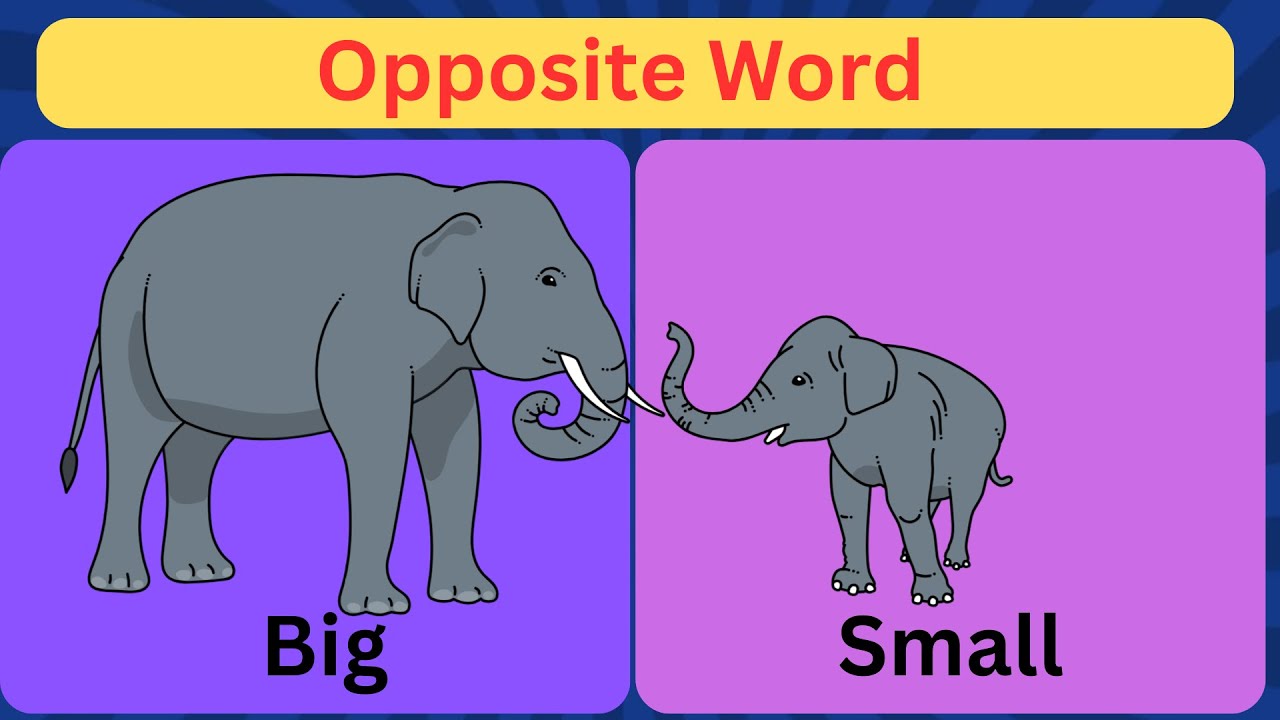 Fun Learning: Opposite Words for Kids | Expand Your Vocabulary ...