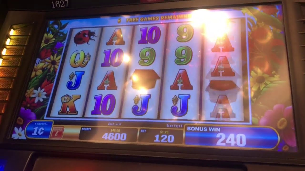 Hummingbird honey slot machine bonuses - YouTube