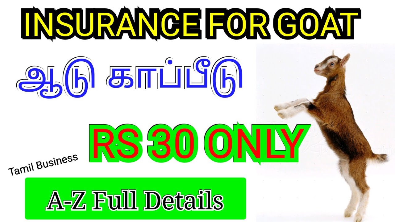 Goat Insurance l Detailed Analysis l ஆடு காப்பீடு l Tamil Business ...