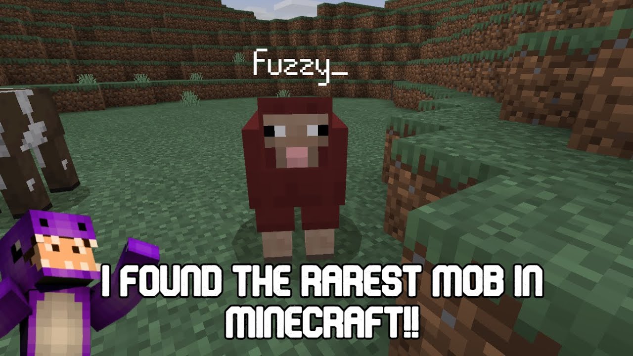 i found the rarest mob in HD Minecraft - YouTube