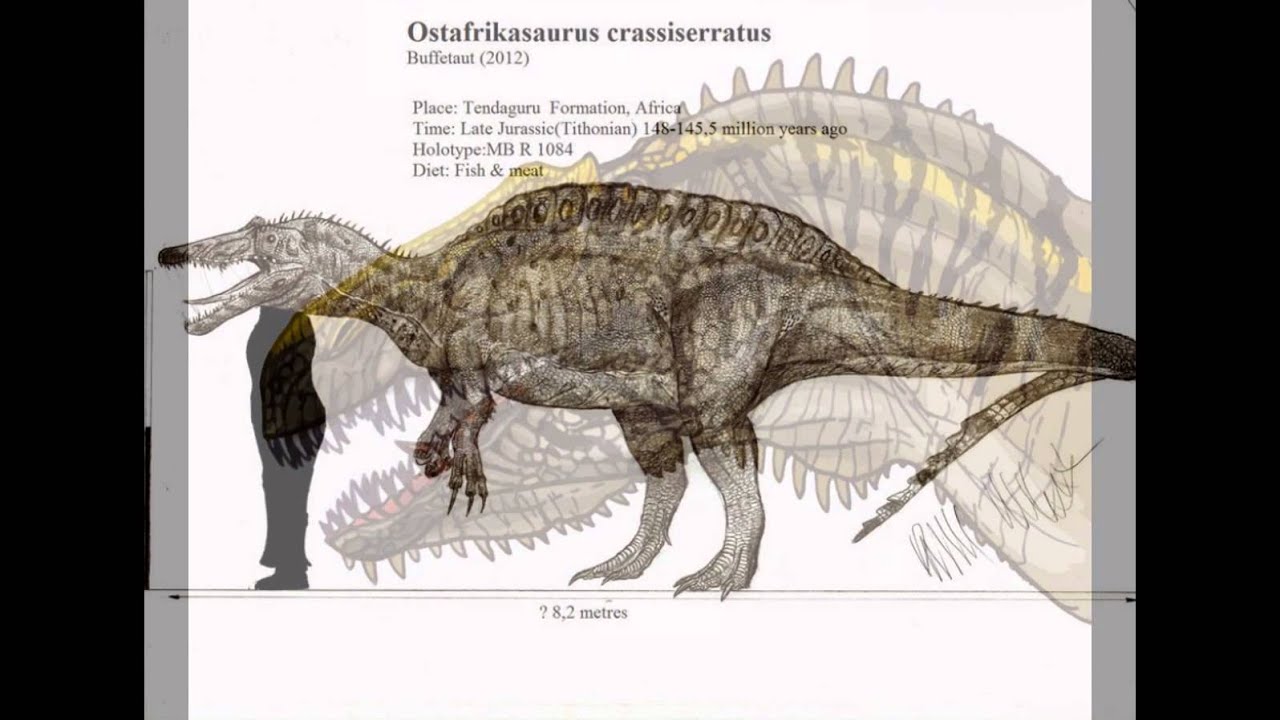 Tribute to Ostafrikasaurus - YouTube
