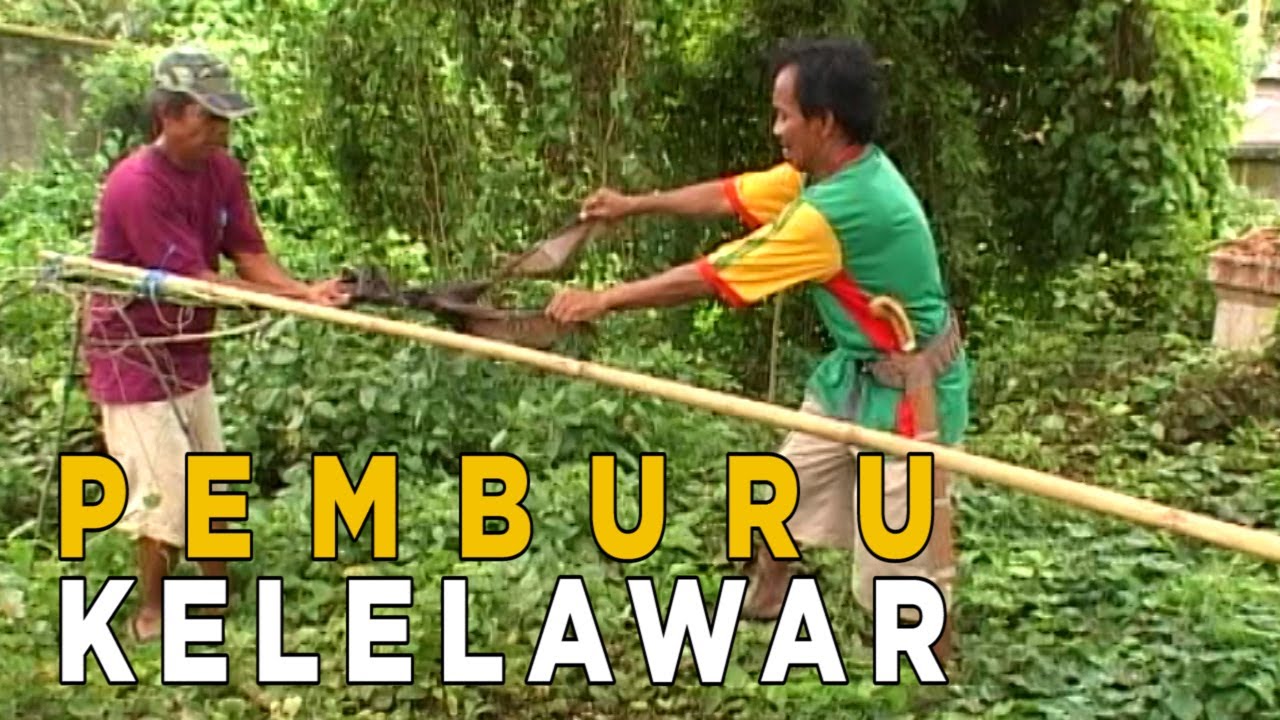 Ternyata masih saja ada yang memburu hewan ini | JELAJAH - YouTube