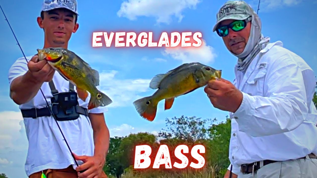 Catching Exotic Fish in the Florida Everglades! (Alligators Everywhere ...