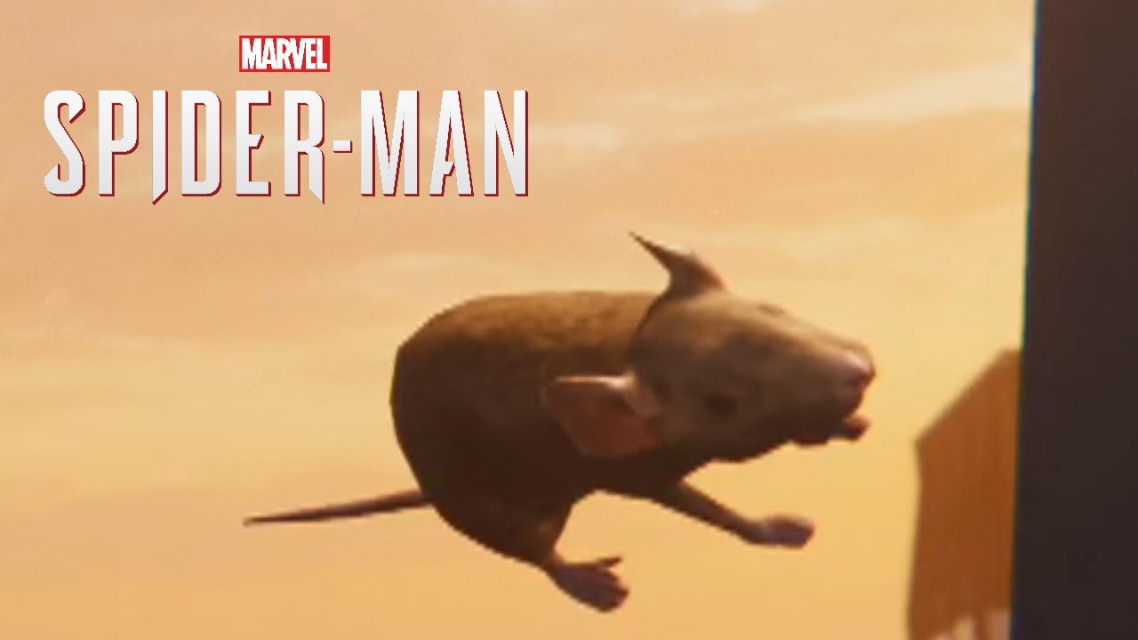 The Amazing Spider-Rat - YouTube