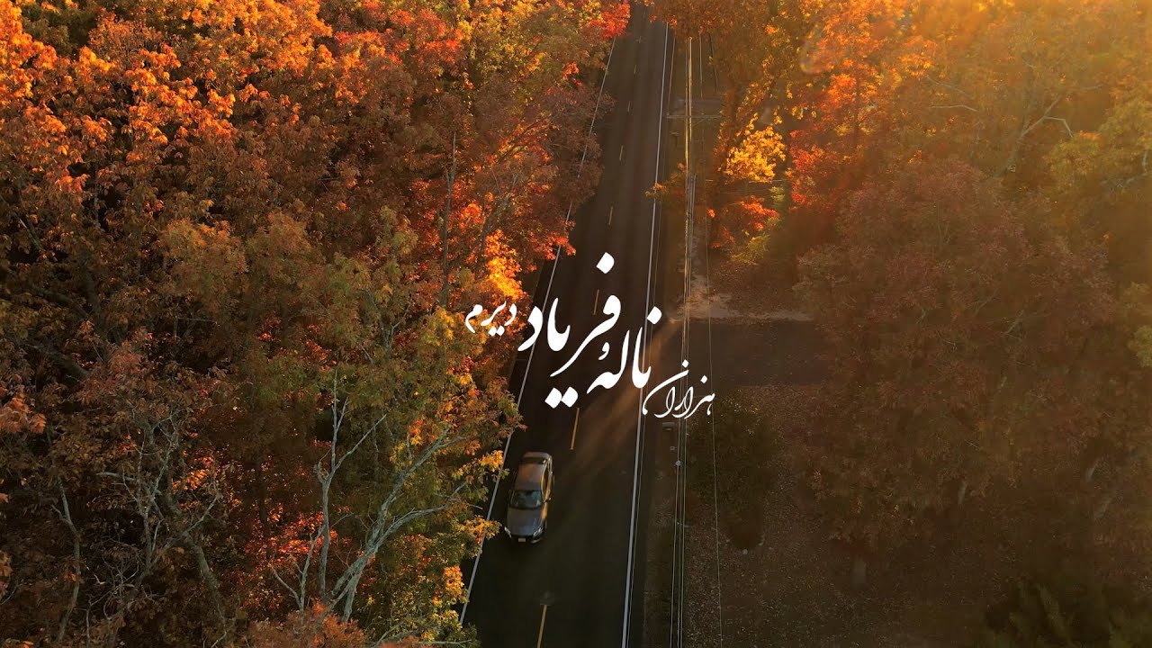 The Whale & Shajarian - Dideh geryan | شجریان - دیده‌ی گریان - YouTube