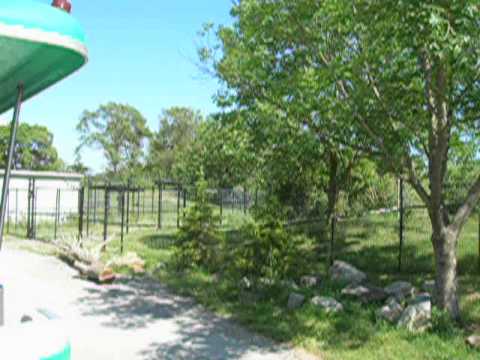Toronto Zoo Zoomobile ride W/ Tripod Part 3 - Africa to Americas - YouTube