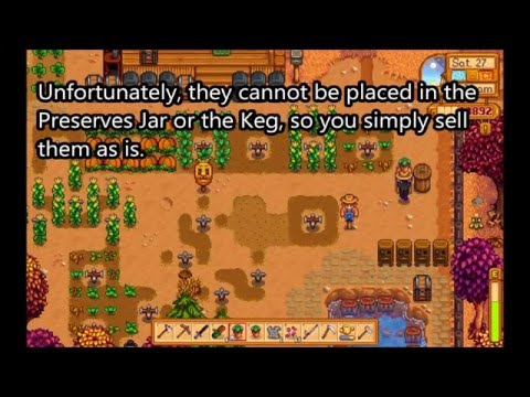 Can You Grow Sweet Gem Berry In Greenhouse