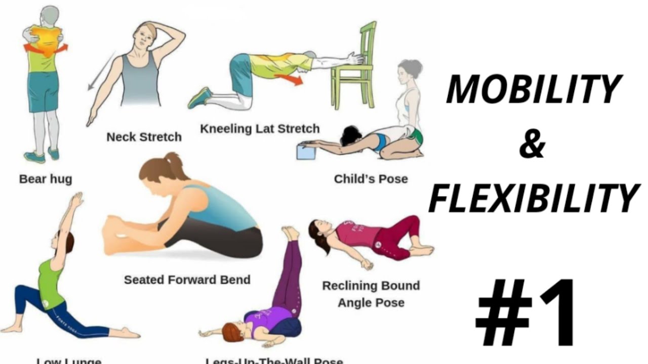 Mobility and Flexibility - 1st Session - YouTube
