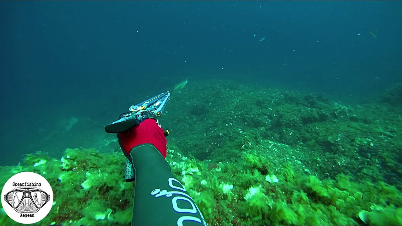 ⛈ Καλοκαιρινή Βροχερή Μέρα ⛈ | Spearfishing the Aegean 🇬🇷 - YouTube