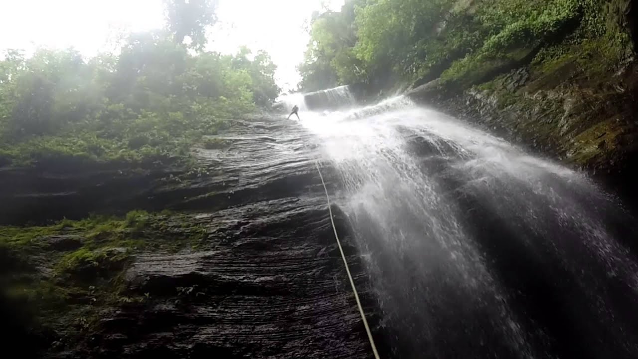 Tabasco Mexico Forests