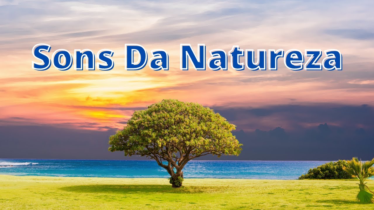 Sons Da Natureza Para Estudar. Sons Da Natureza Para Relaxar E Meditar ...