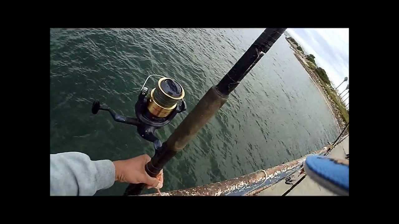 SAN DIEGO FISHING: CATCHING WHITE PERCH - YouTube