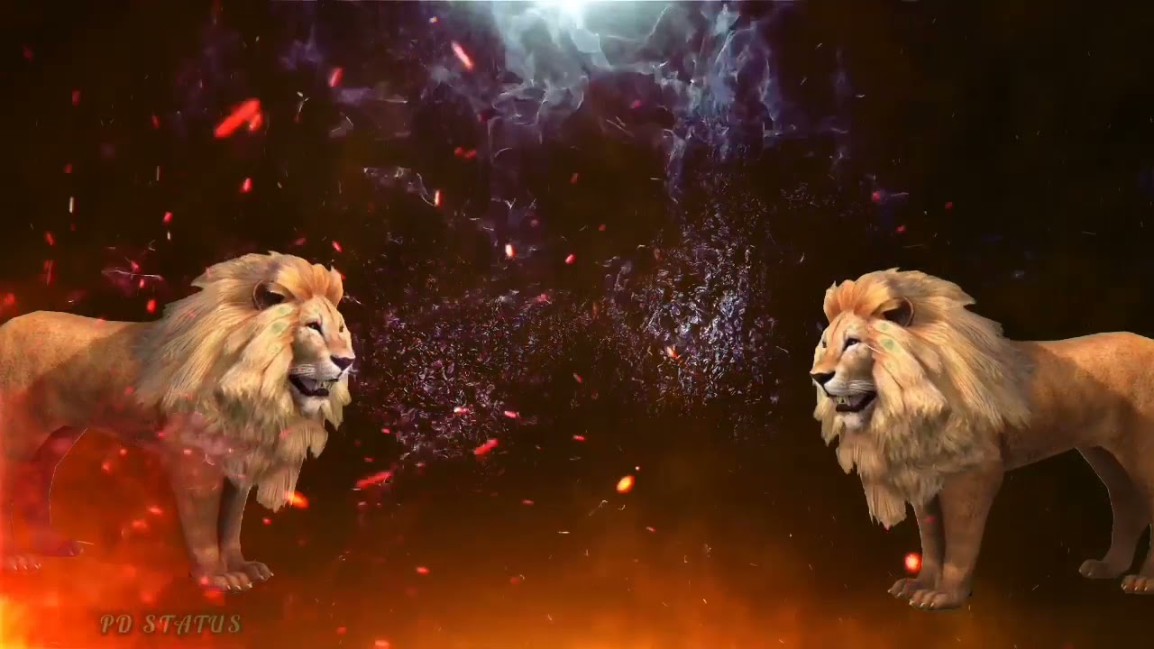 Lion entry WhatsApp status video templates for kinimaster video editing ...
