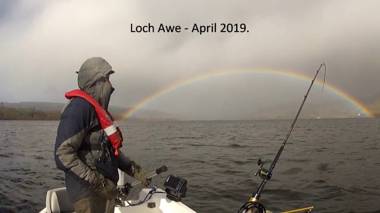 10lb+ Loch Awe Ferox Trout. - YouTube