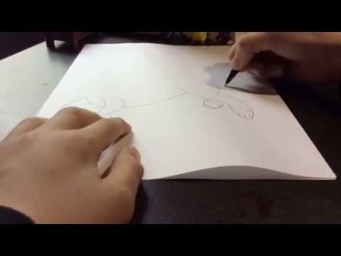 Happy cat speed draw - YouTube