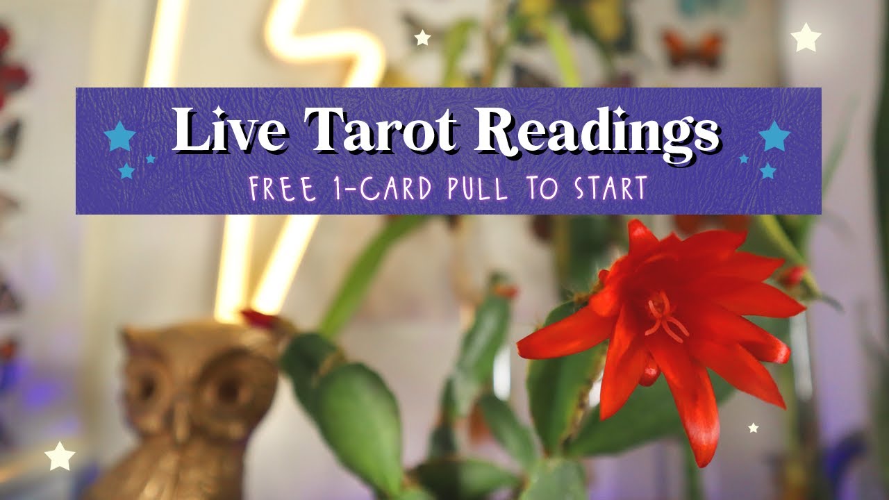FREE Personal 1-Card Pull First 20 Minutes & Live Tarot Readings ...