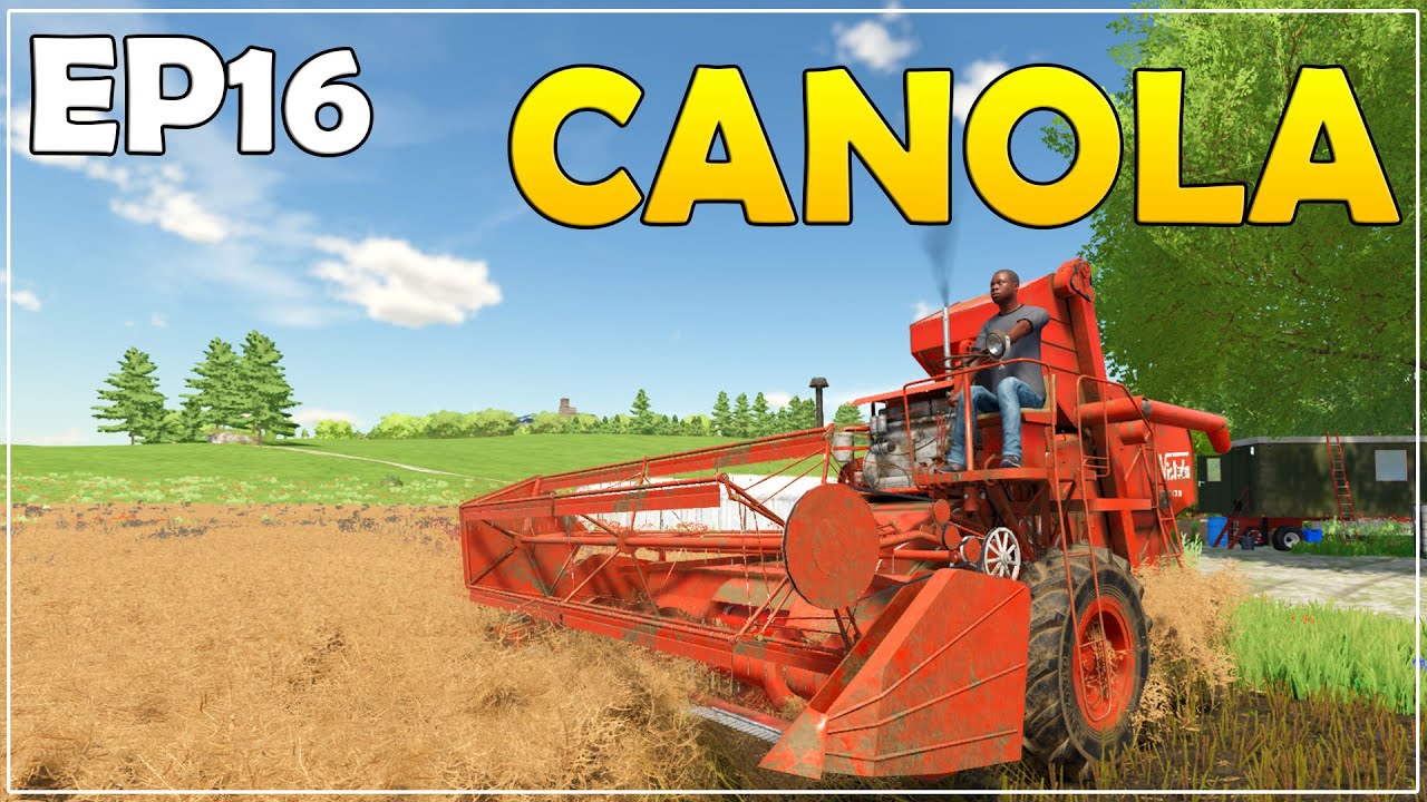 MORE CANOLA TO BE HARVESTED! - Hard Mode - FS22 Calm Lands Episode 16 ...