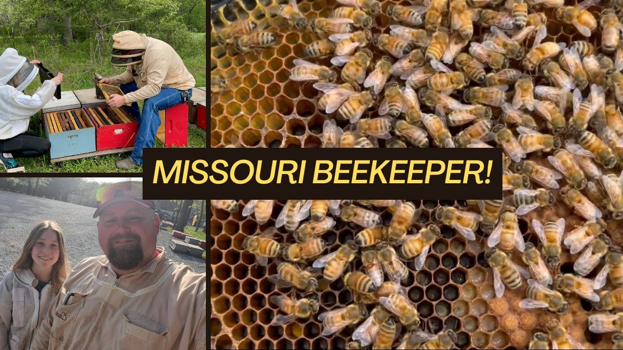 Building Nucs in a Ten Frame Deep! 🐝 - YouTube