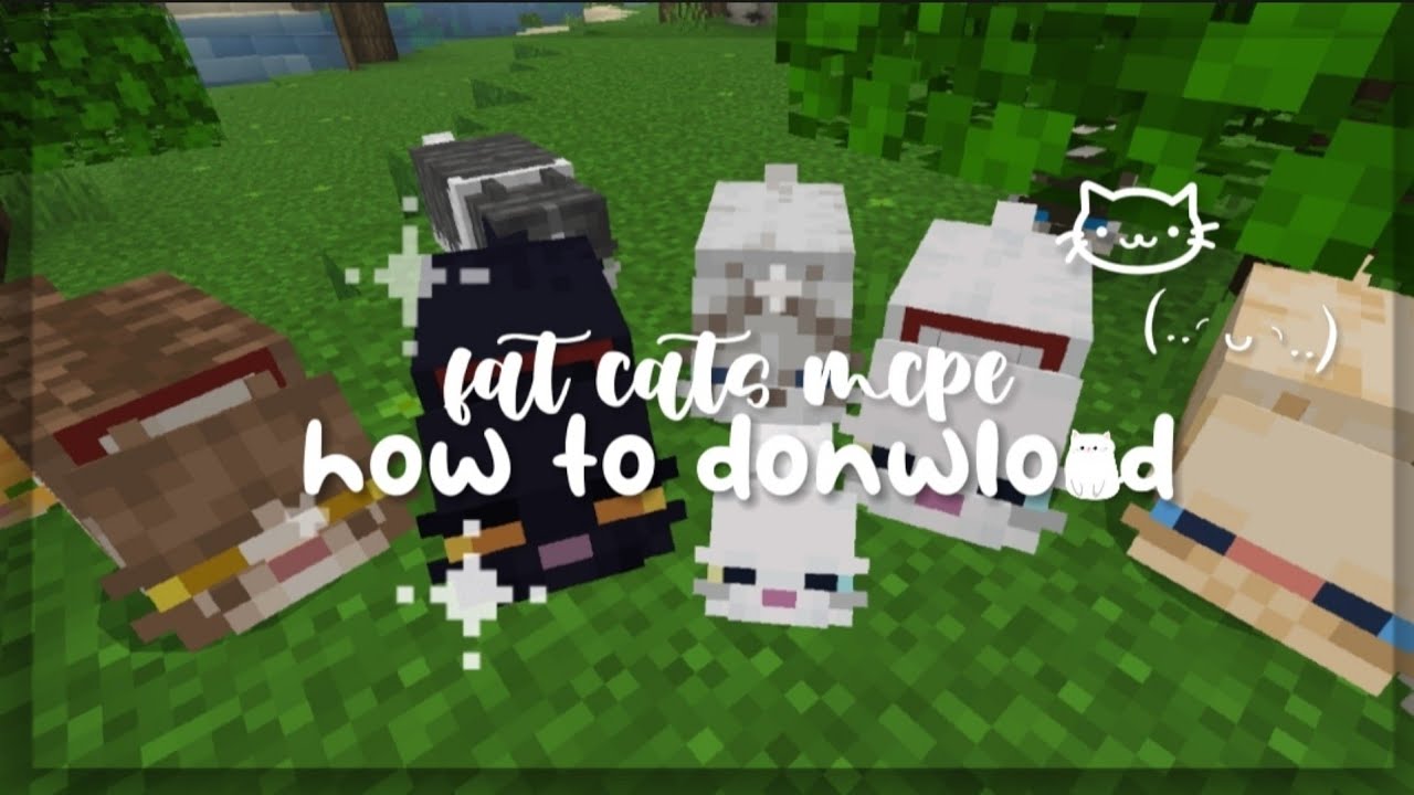 【Minecraft PE】~ Fat cats addon ⸝⸝ /ᐠ - ˕ -マ - YouTube