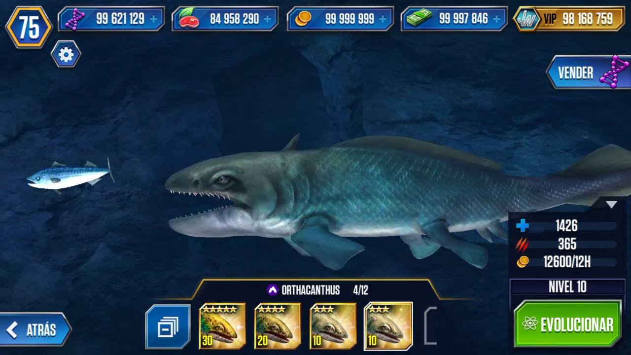 ORTHACANTHUS NIVEL 40 - YouTube