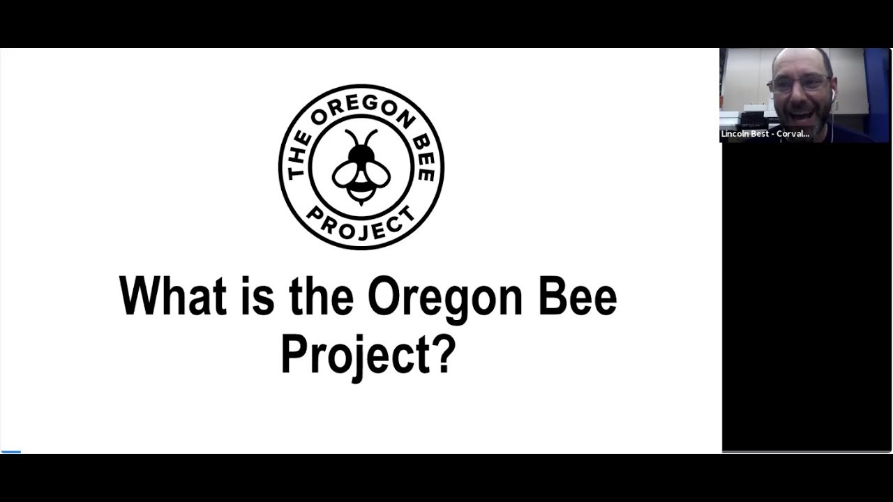 Buzz Webinar: The Oregon Bee Project - YouTube