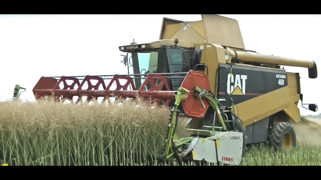 CAT Lexion 46o & CLAAS Lexion 66o vs Rzepak! HIT! - YouTube