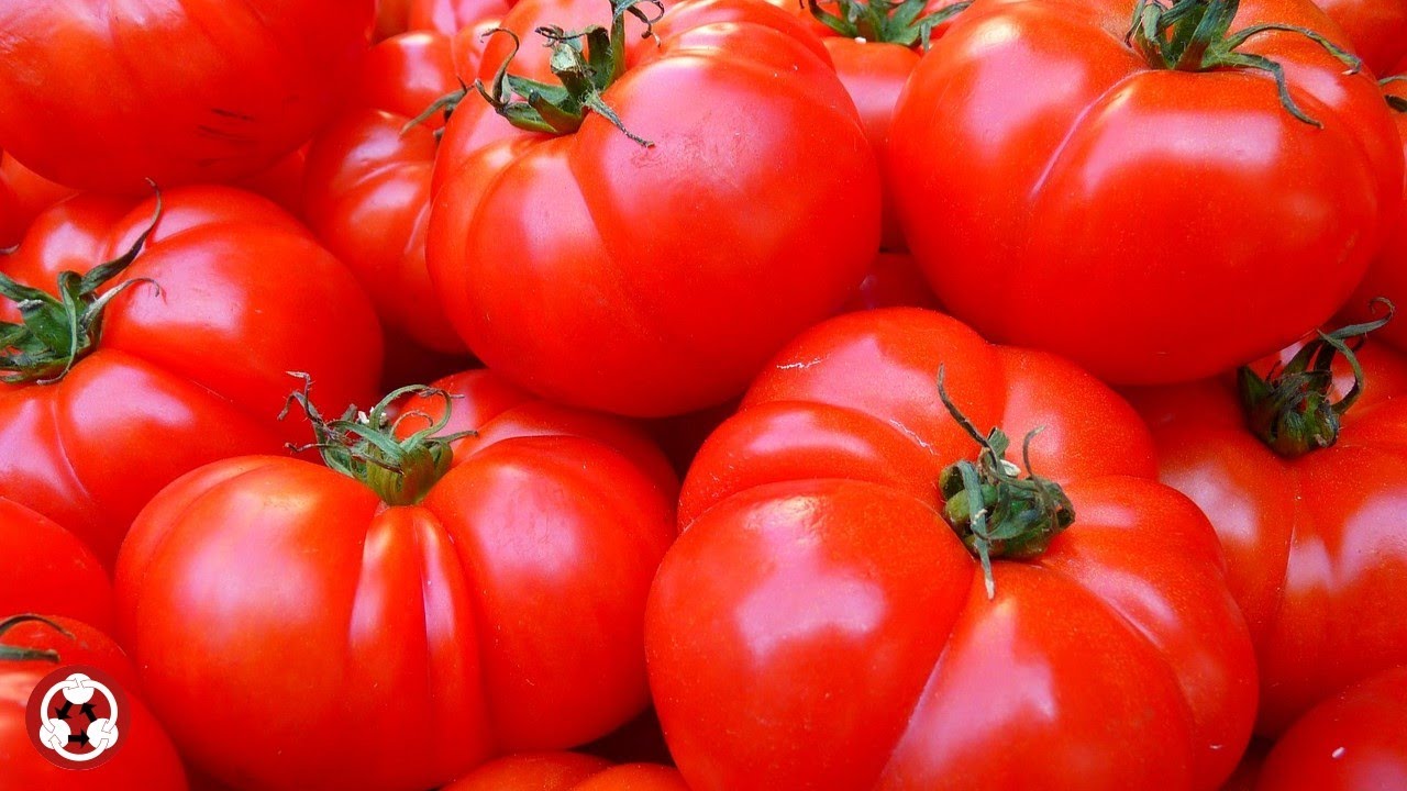 Fruits Vegetables 水果蔬菜 How to pronounce tomato 番茄,西红柿,トマト토마토tomat ...