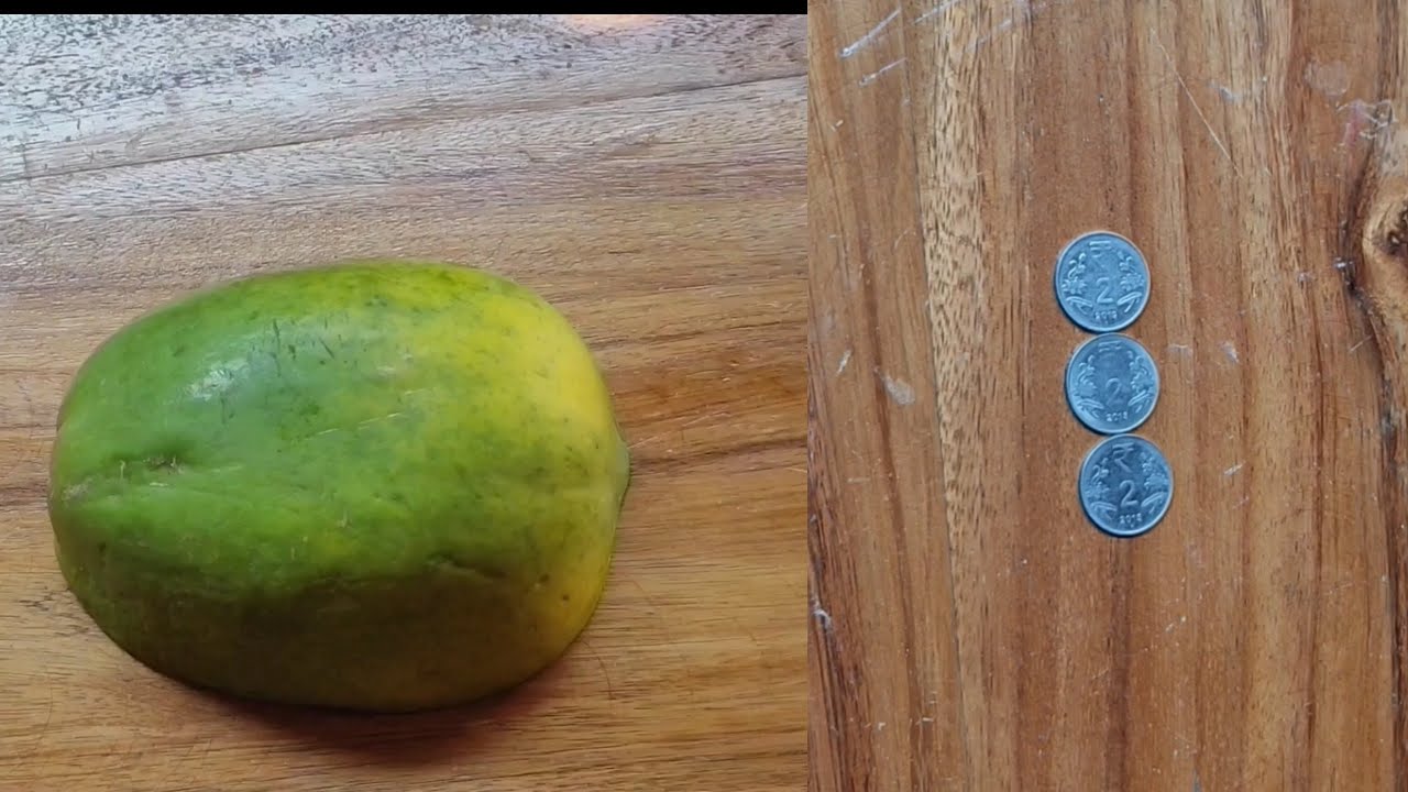 2 superb craft/ Amazing craft ideas using papaya shell And coins ...
