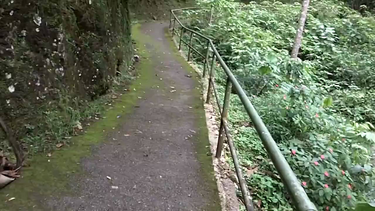 BOSQUE DE TORO NEGRO - PISCINA DE AGUA NATURAL - YouTube
