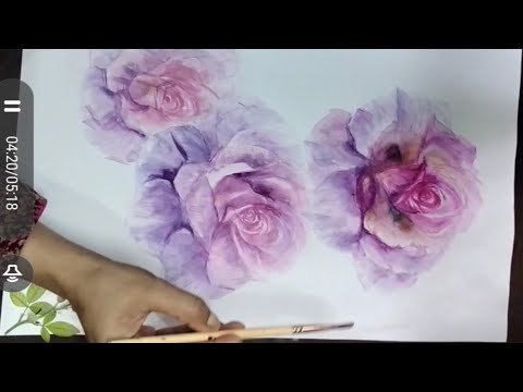 How to Draw A Lavender Rose -- Step by step tutorial -- Watercolour ...